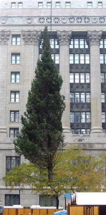 Repeat- Writings on Architecture: The Great Chicago Christmas Tree ...